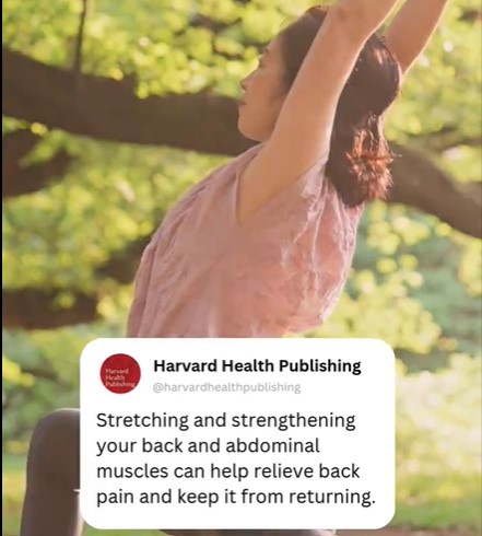 Stretching and Strengthening #HarvardHealth #physiotherapy – Healthaware