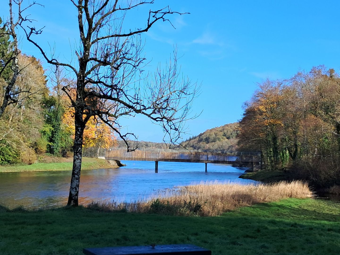 Walk the lakes, forests 😀💚 Co.Cavan 🇮🇪 – Healthaware